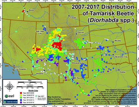 fig a4 4 an 11 year record of the distribution of tamarisk beetles