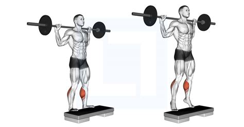 Bodyweight Standing Calf Raise Guide Benefits And Form