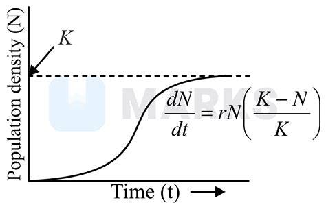 Asymptote Is A Logistic Growth Curve Is Obtained When
