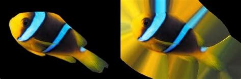 Extend Image Edge Using Pyvips · Issue 786 · Libvips Libvips · Github