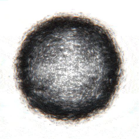 processing fusion wiffle