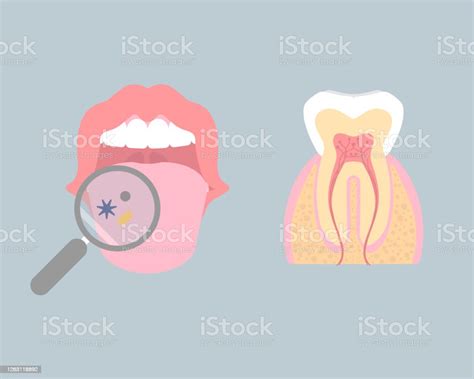 치과 치아 및 구강 입 혀 건강 관리 내부 장기 치아 해부학 신체 부위 신경계 벡터에 대한 스톡 벡터 아트 및 기타 이미지
