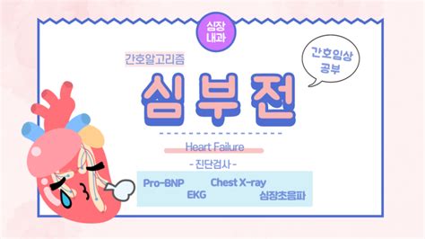 간호알고리즘 심부전이 의심되는 대상자에게 진행할 수 있는 진단검사는 간호사로서 내가 확인해야하는 일들은 무엇일까요