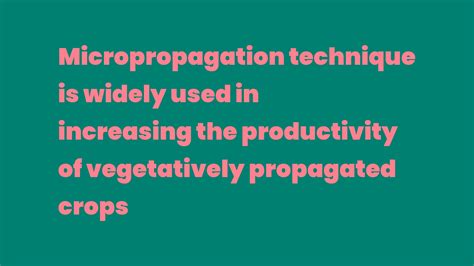 Micropropagation Technique Is Widely Used In Increasing The