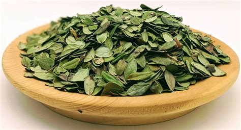 Брусника (лист) с Байкала