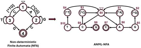 논문 리뷰 Optimizing Sequence Alignment With Scored Nfas