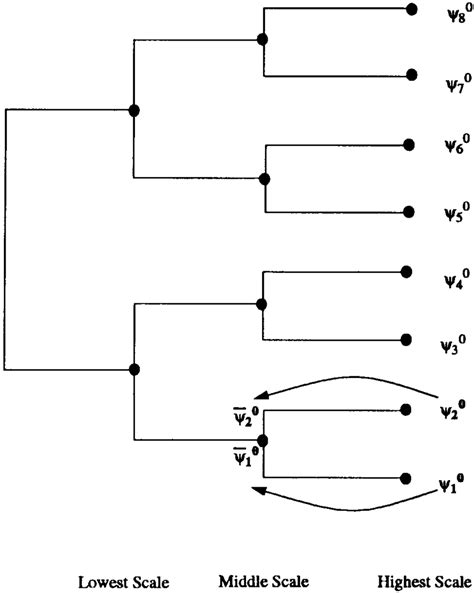 Wavelet Packet Tree For Ir 8 Download Scientific Diagram