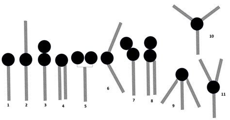 Structure Property Relationships Of Emulsifiers For Liquid Crystal