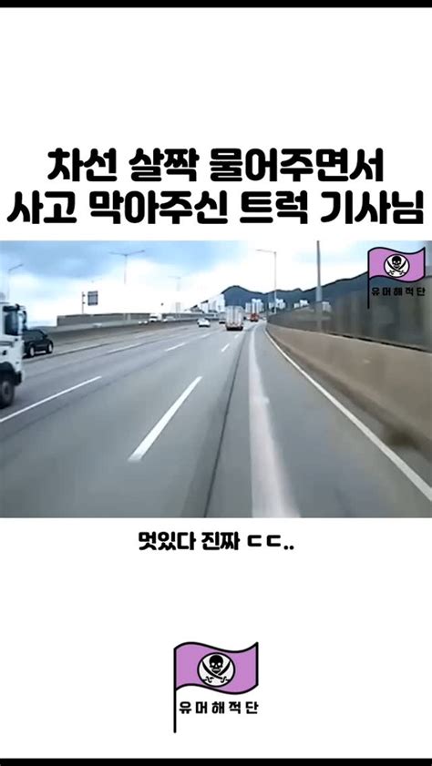 삼냥냥집사 진짜 어렵네 ㅋㅋㅋㅋ 유머 차 차스타그램 맞팔 일상 웃음 웃긴짤 커플 감동 귀여워 웃긴영상 재미 유머스타그램 재밌는영상 좋반