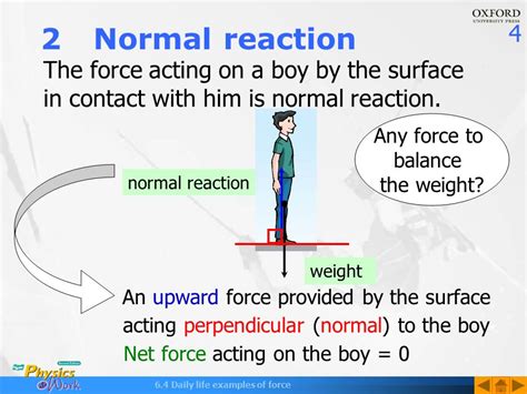 Net Force Real Life Examples
