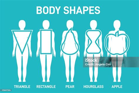 Gender Neutral Body Shapes Triangle Rectangle Apple Pear And Hourglass