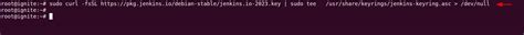 Jenkins Penetration Testing