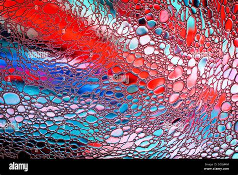 Colorful Abstract Background With Organic Shapes Stock Photo Alamy