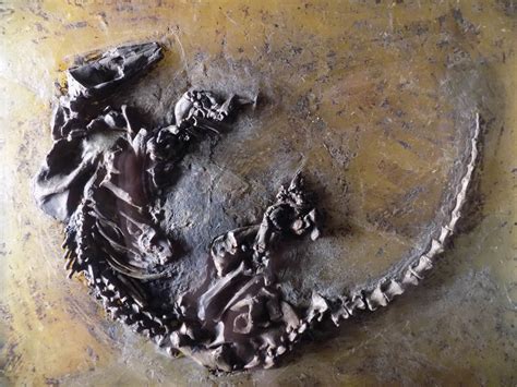 Introduction To The Messel Pit Deposits