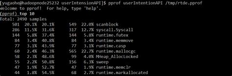 Net Client Is Slow · Issue 4507 · Golanggo · Github