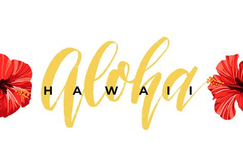 녹색 야자수 잎 히비스커스 꽃 파인애플과 손으로 그린 알로하 비문과 열대 벡터 디자인 여름 하와이 일러스트 0명에 대한 스톡 벡터 아트 및 기타 이미지 Istock