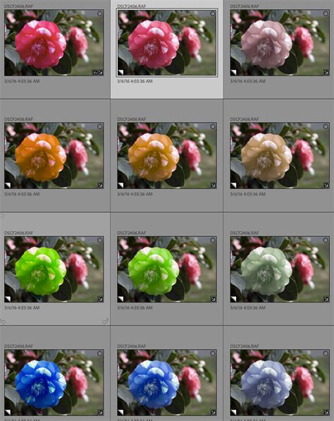 P Add Color Grading To Local Adjustments Adobe Product Community 12536782