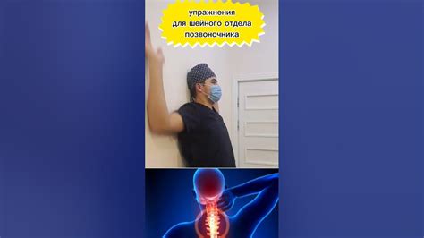 упражнения для шейного отдела позвоночника Youtube