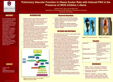 Zucker Rat Thesis Poster Ppt