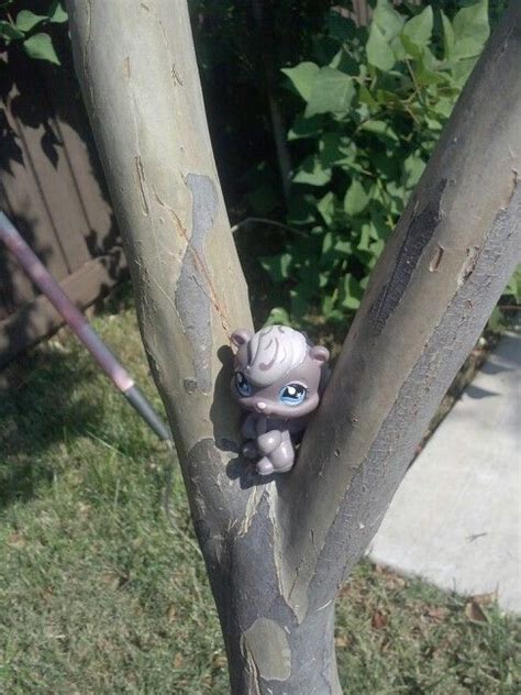 Squirrel Lps Squirrel Lps Garden Sculpture