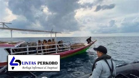 KN Ular Laut 405 Bakamla RI Selamatkan Kapal Terombang Ambing Di Laut