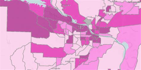 Data Viz Of The Week Gini Coefficient Community Commons Stories