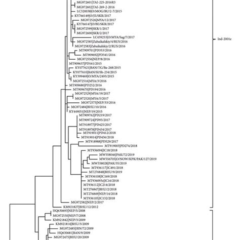 The Structure Of Fmdv Vp1 Protein And The Variable Motif 135144 Download Scientific Diagram