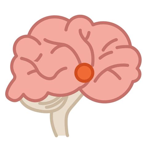 4 페이지 무료로 다운로드 가능한 뇌 Png 벡터 And 일러스트