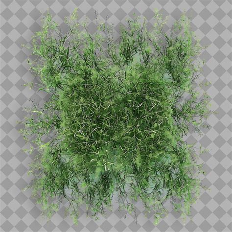 Nimblewill Grass With Sage Green Branches And Rose Mixed Gra Png Green