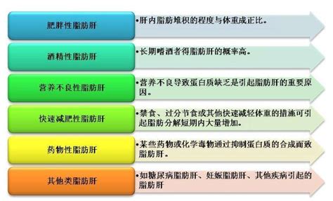 脂肪肝还在吃这几种食物的人没救了