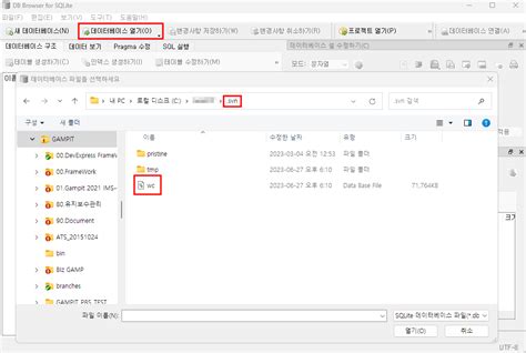 Svn Cleanup 오류