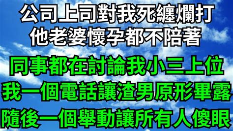 公司上司對我死纏爛打，他老婆懷孕都不陪著，同事都在討論我小三上位，我一個電話讓渣男原形畢露【靜謐時光館】落日溫情 情感故事 花開富貴