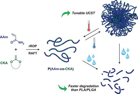 Design Of Hydrolytically Degradable Thermosensitive Vinyl Download Scientific Diagram