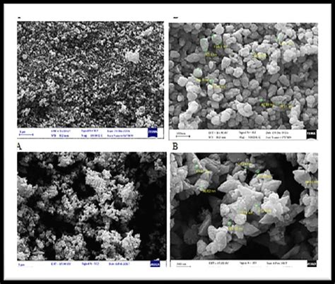 The Growth Of Worm Like Micelles Under Sem Download Scientific Diagram