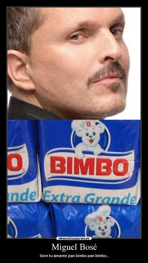 Miguel Bosé Desmotivaciones