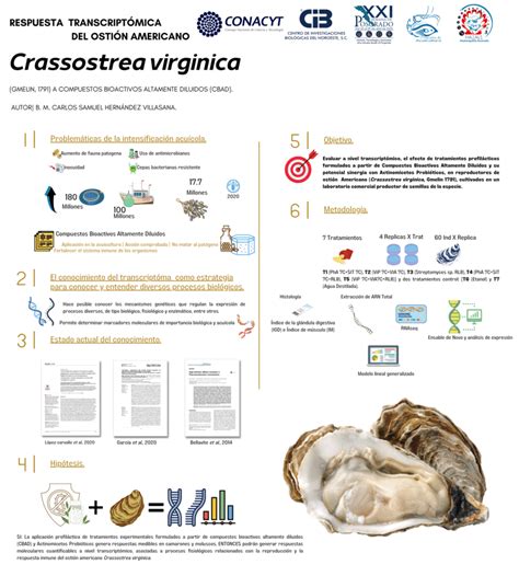 Pdf Transcriptomic Analysis Of Crassostrea Virginica