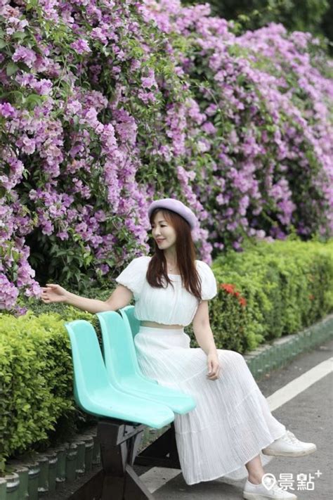 200米蒜香藤花海大道綻放解鎖夢幻粉紫色花瀑限時搶拍 景點