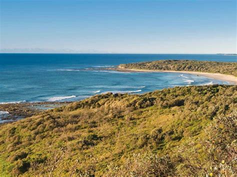 Angourie Walking Track Nsw Government