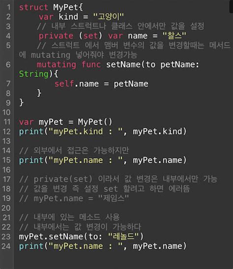 Swift 기초 문법 29 Privateset