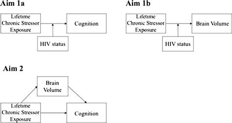 Prefrontal Cortex Volume Mediates The Relationship Between L