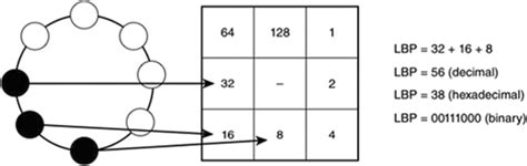 Assigned Lbp Weighting Values 106 Download Scientific Diagram