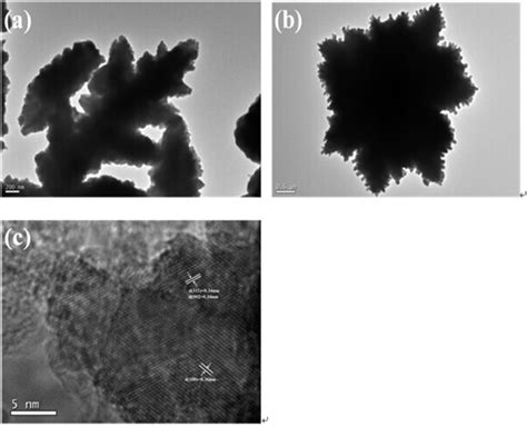 Morphological Characterization Of Flower Like CdS TEM Images Of Pure