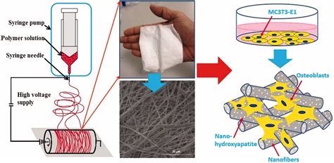 Osteogenic Differentiation Of An Osteoblast Precursor Cell Line Using Composite Pcl Gelatin Nhap