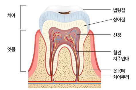 구강보건 아산시보건소 홈페이지입니다