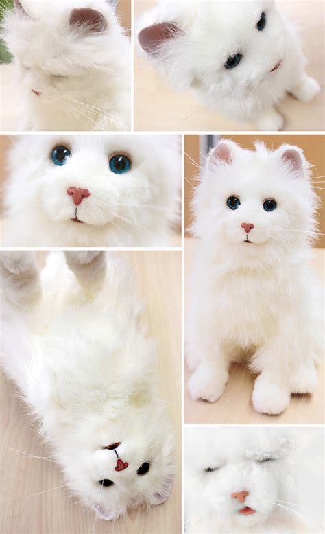 夢ねこプレミアム 1685019 の通販【送料無料・代引料無料】