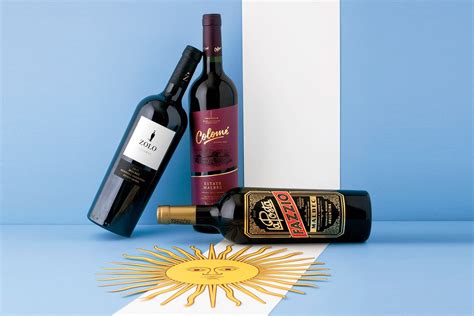 A Short Guide To Argentine Malbec Wine Enthusiast