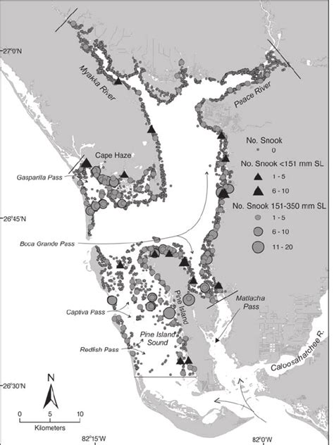 Sites Where Small Juvenile Common Snook