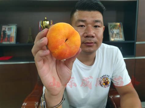 早熟蟠桃 中蟠7号高清图片 搜狐大视野 搜狐新闻