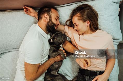 해피 커플 남자와 여자가 개와 함께 침대에 누워 프랑스 불독은 인간과 달콤하게 자고 있습니다 2명에 대한 스톡 사진 및 기타 이미지 Istock