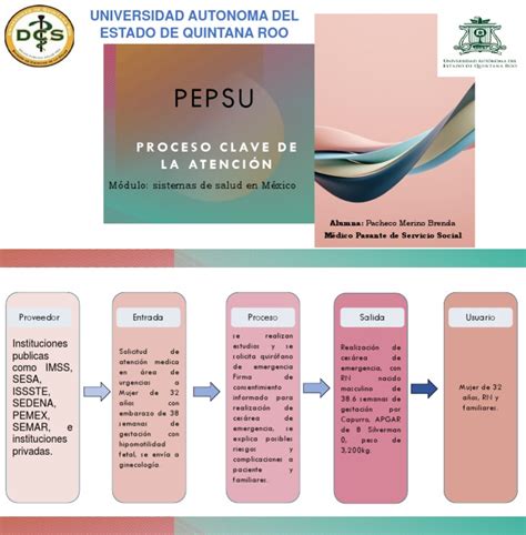 Pepsu Pdf